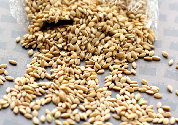 How to Cook Cereals and Grain – Whole Grain and Cereal Cooking ...