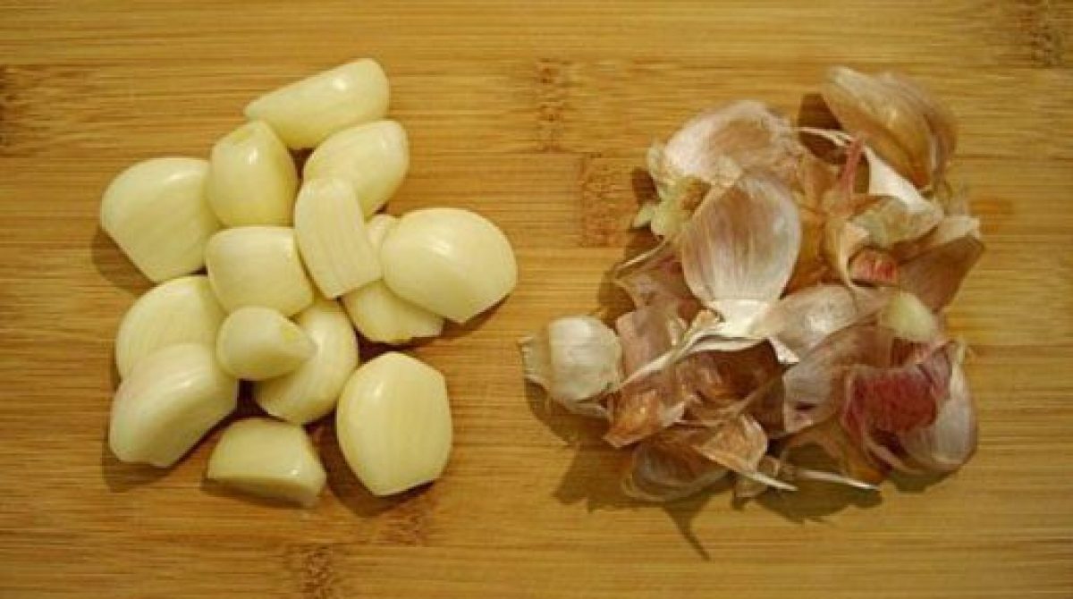 Start Cooking: Beginners Cooking guide – Cooking Tips for Beginners ...