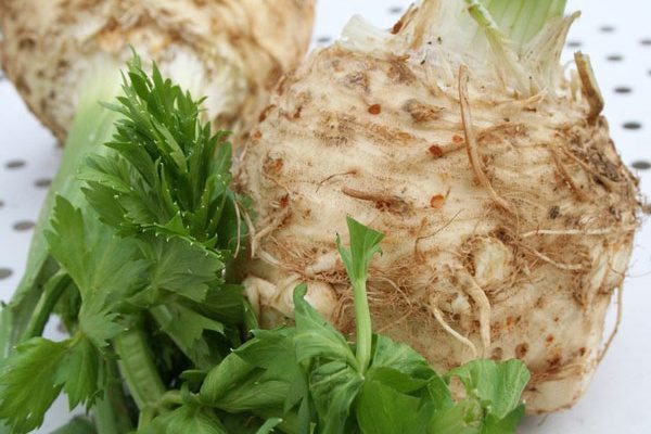 Food Shopping Tips — Eatwell101