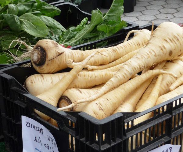 Cooking Parsnip — Parsnip Pictures — Eatwell101