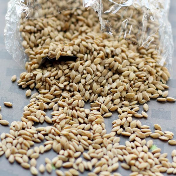 Cooking Spelt — How to Cook WIth Spelt Grain — Eatwell101