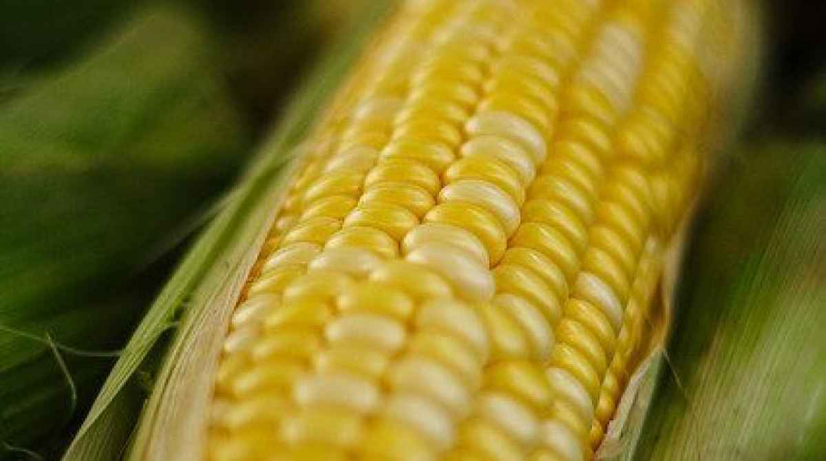 Tip of the day — Eatwell101