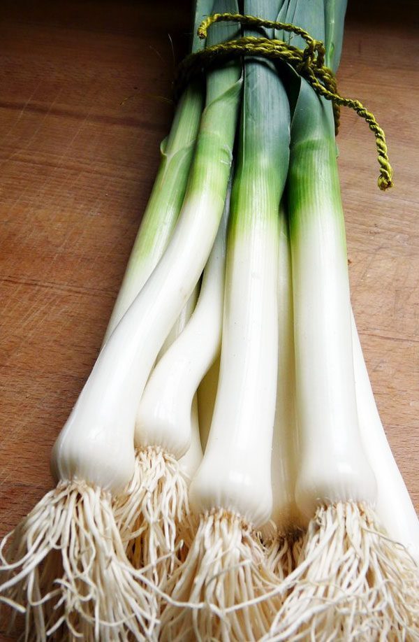 Buying, Preparing and Cooking Leeks — Eatwell101
