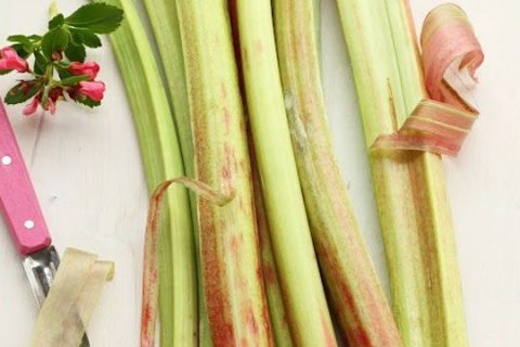 Everyday Cooking — Eatwell101 — Page 6