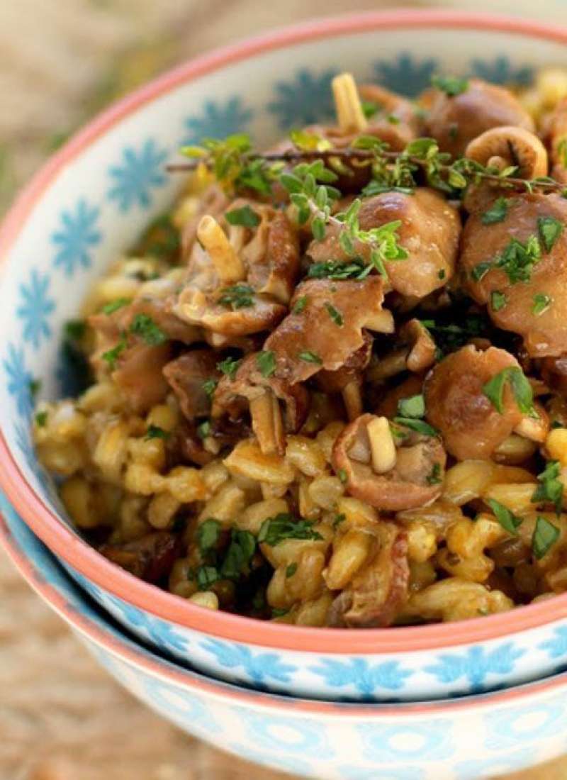 Starchy foods recipe — Eatwell101