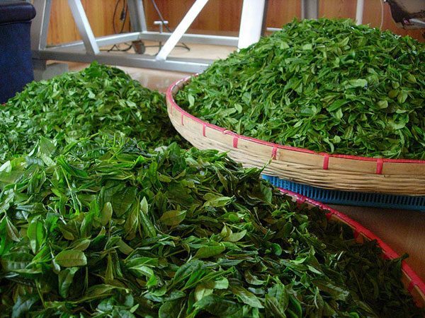 5 Tips for Cooking with Tea — Eatwell101