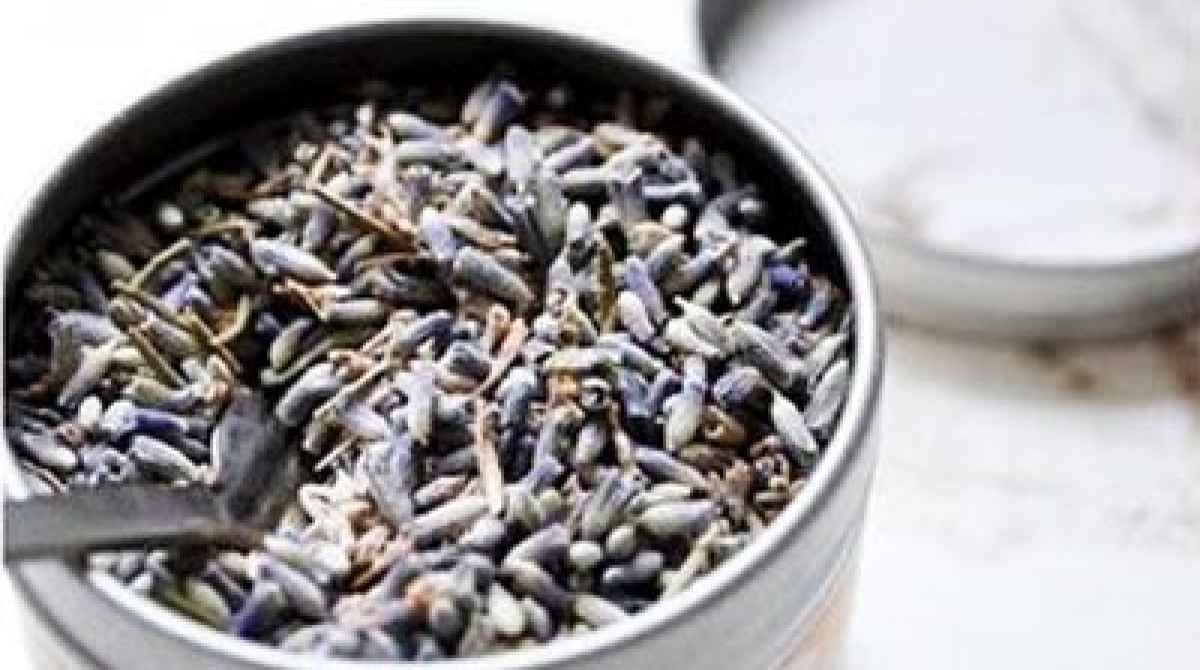 Everyday Cooking — Eatwell101 — Page 5