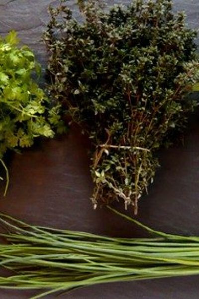 Learn How To Buy Herbs and Spices – Learn How To Cook Herbs and Spices ...